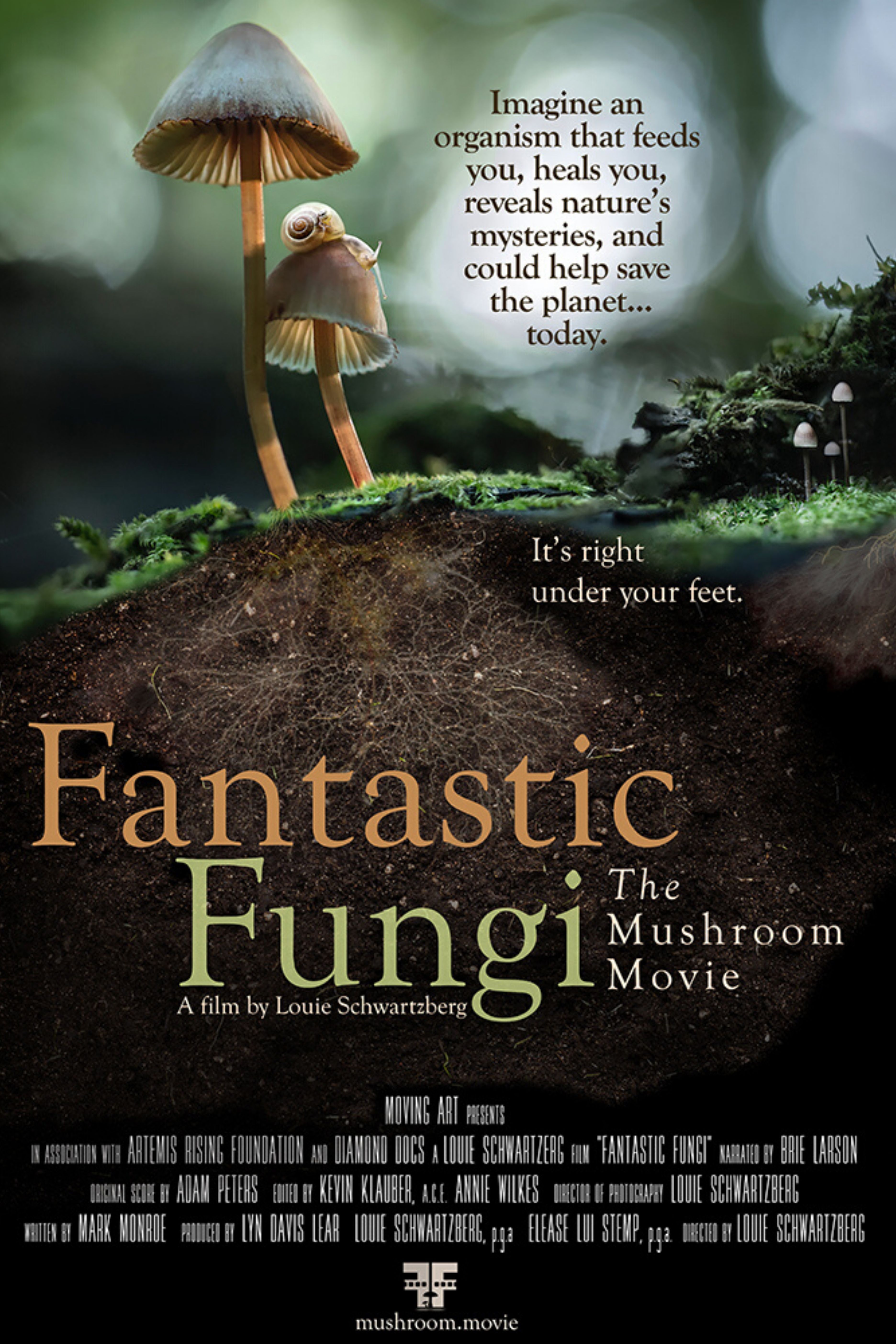 Fantastic Fungi - Ethical Made Easy